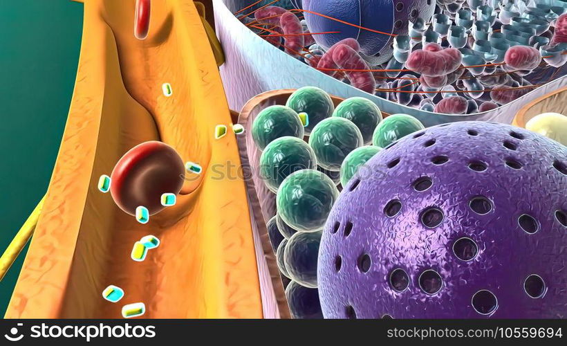 Amyloid Precursor Protein Cleavage, 3d medical illustration .. Amyloid ...