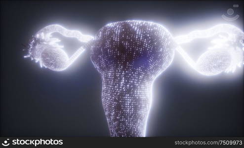 Female Reproductive System Anatomy animation. Female Reproductive ...
