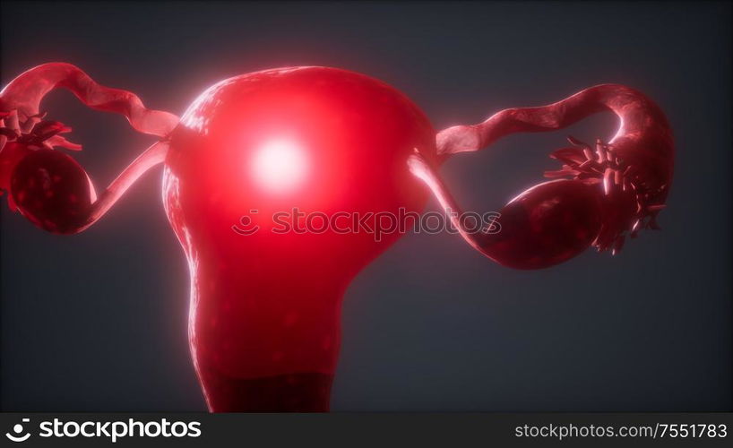 Female Reproductive System Anatomy animation. Female Reproductive ...