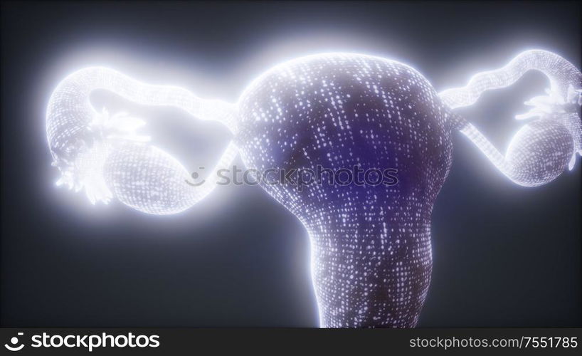 Female Reproductive System Anatomy animation. Female Reproductive ...