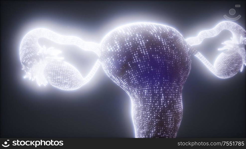 Female Reproductive System Anatomy animation. Female Reproductive ...