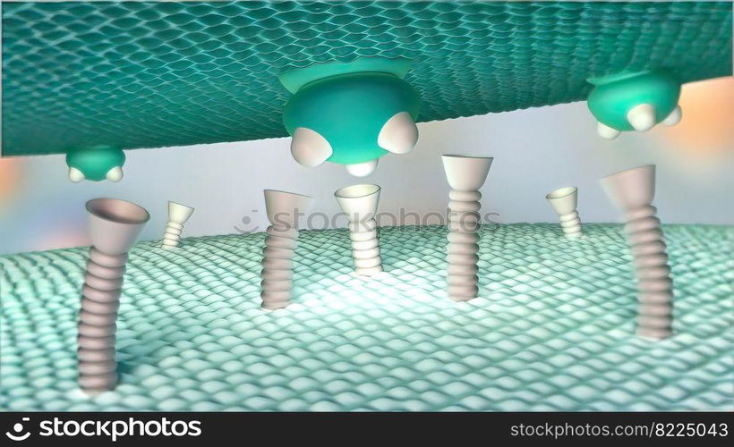 Passive transfer of cell-mediated immunity 3d medical illustration ...