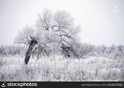 Electrical towers in winter — Stockphotos.com
