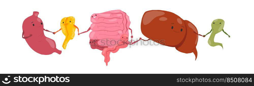 Vector set of human internal organs illustrations. Heart, lungs ...